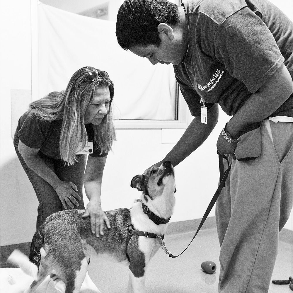 Forget Me Not Farm – Children's Services