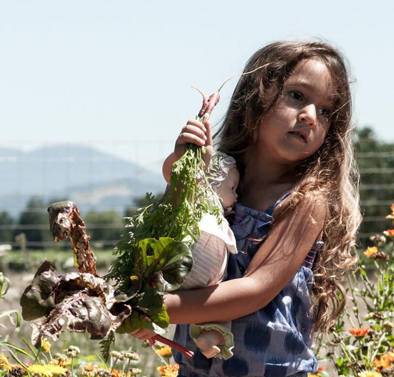 Our Gardens – Forget Me Not Farm