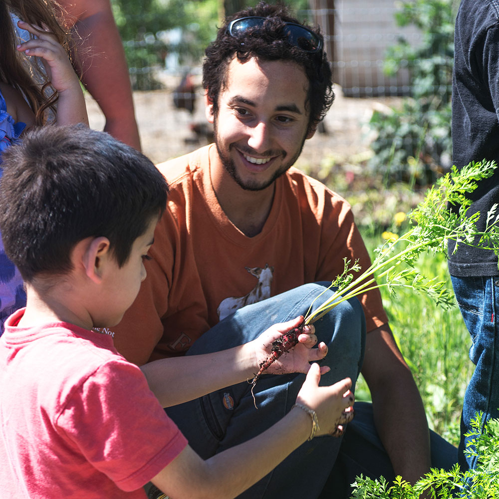 Volunteer – Forget Me Not Farm